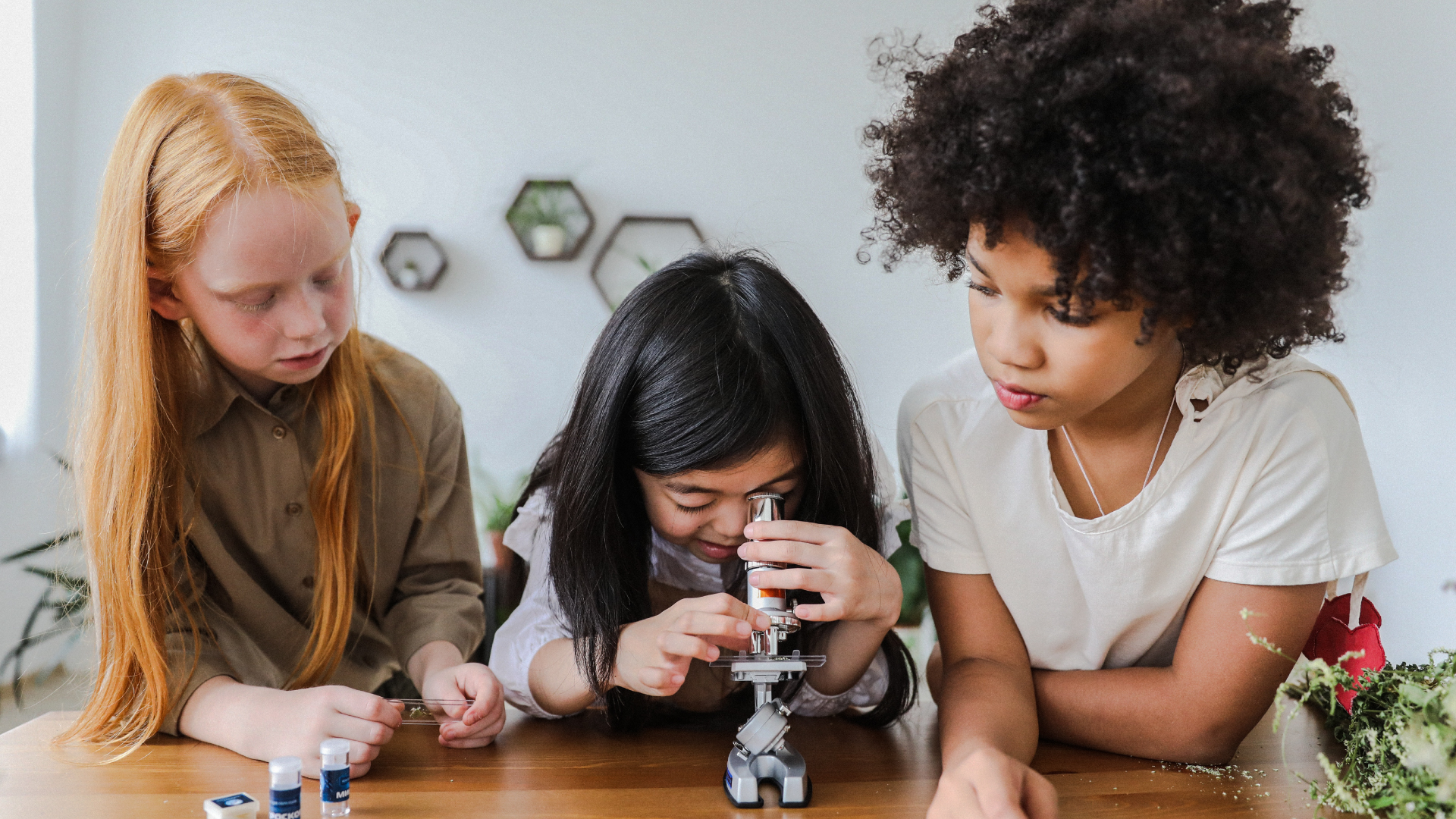 Day 1: Why Do Scientists Work in Teams? | All for Science™