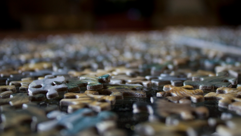 Day 10: Putting the Pieces Together! | All for Science™