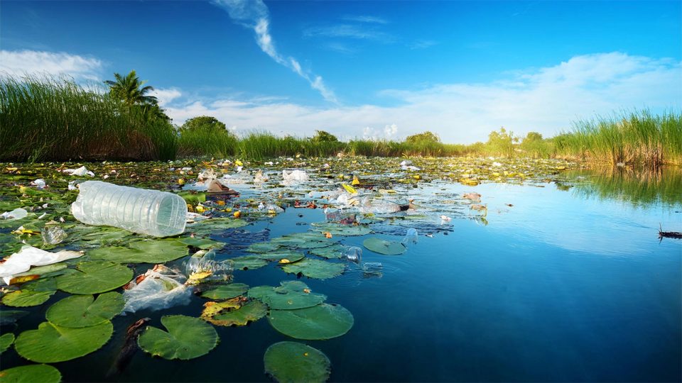 Human Impact on Ecosystems | All for Science™